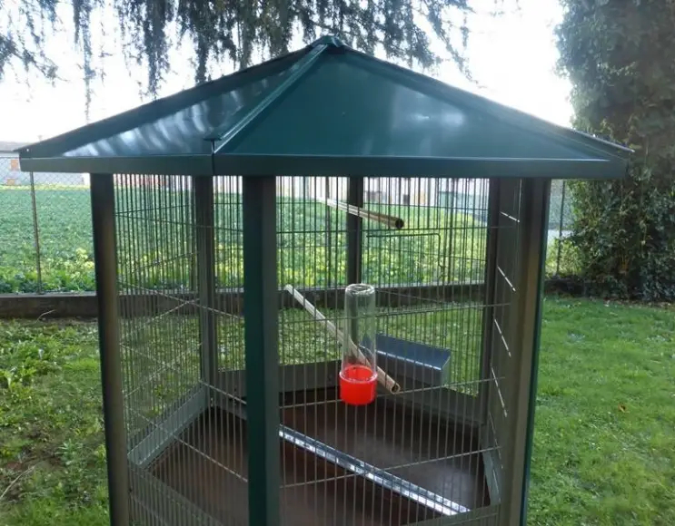 Volière hexagonale - Cod. VLE0021B