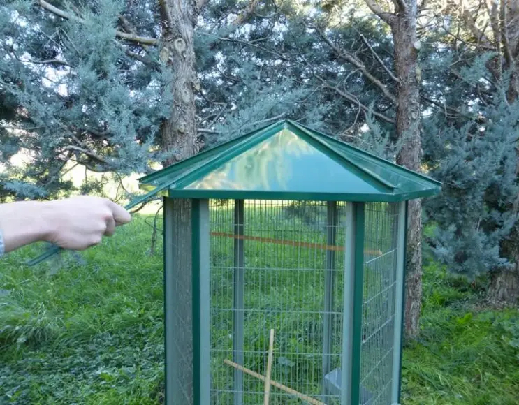 Volière hexagonale - Cod. VLE0021