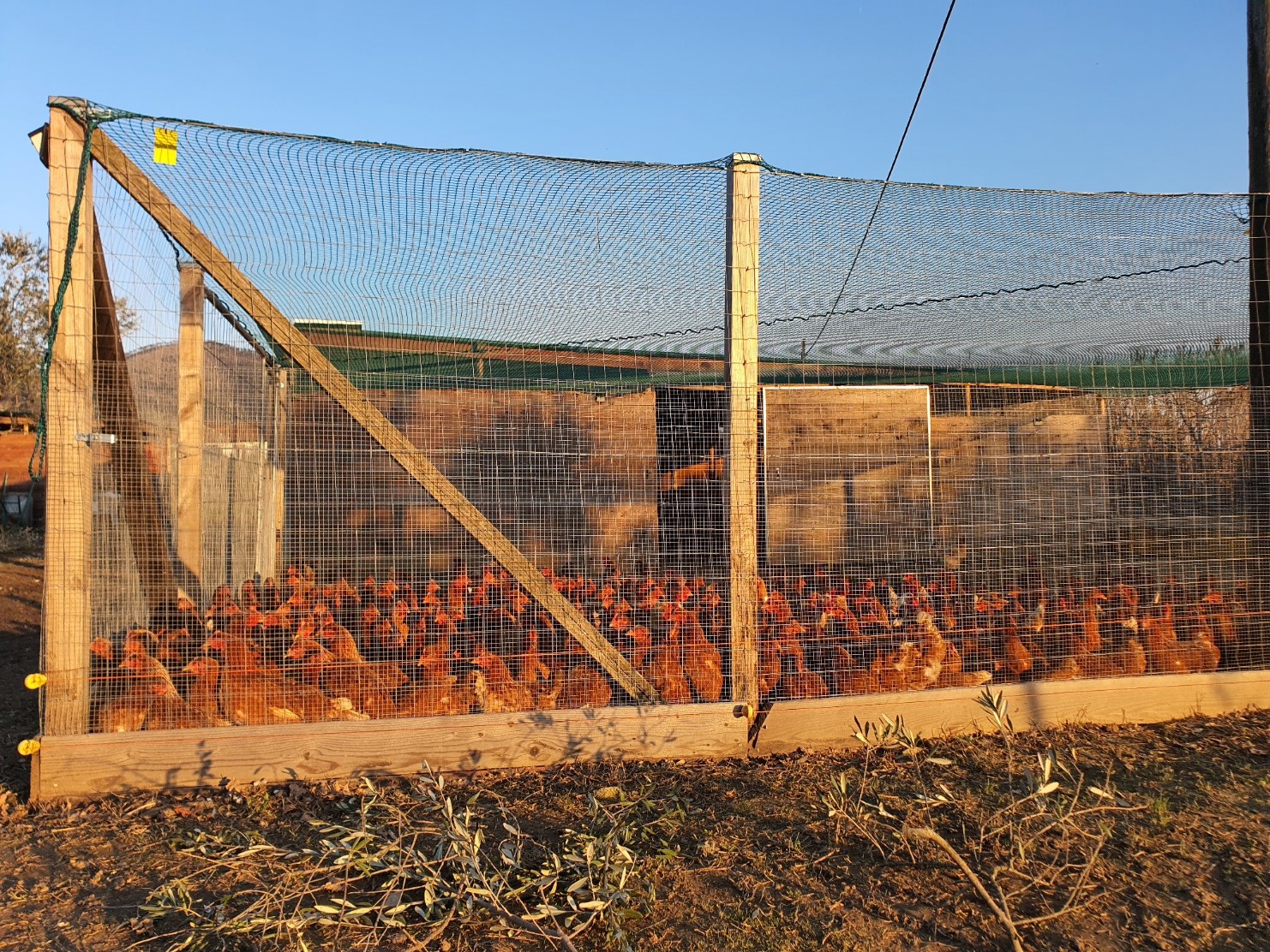 Filet anti-intrusion anti-prédateurs et filet anti... - Cod. VPD025